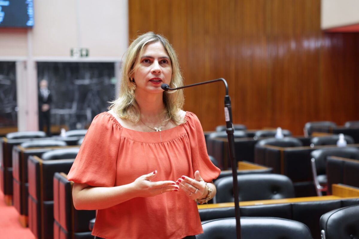 Tribunal de Contas do Estado solicitou ao Governo Zema que não faça ...